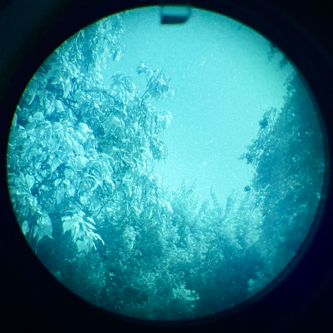 Tactical Panda – TacticalPanda